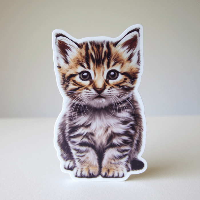 Personalised Stickers: 500 for €30.35 | BIZAY