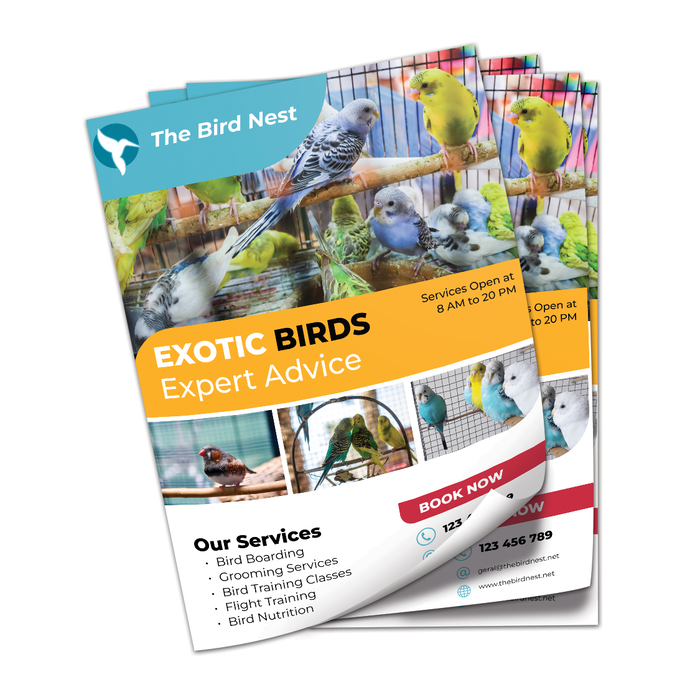 Bird Shop Flyers | 360onlineprint