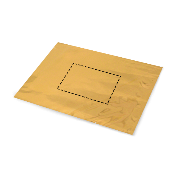 100 Printed Polypropylene metallic envelope: $105.55 | 360onlineprint