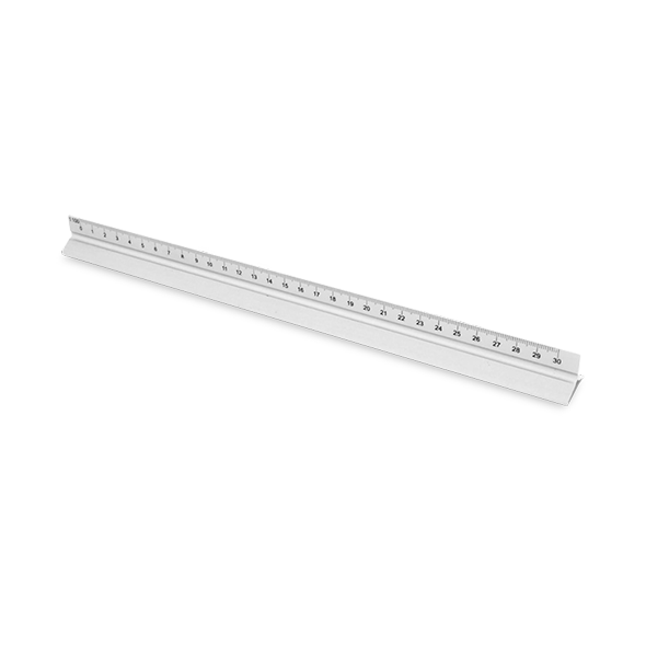 100 Personalised Scale Ruler: $312.73 | 360onlineprint