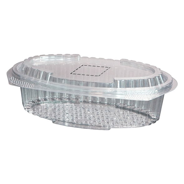 Plastic Salad Boxes Printing | Cheap Plastic Salad Boxes Printing|BIZAY