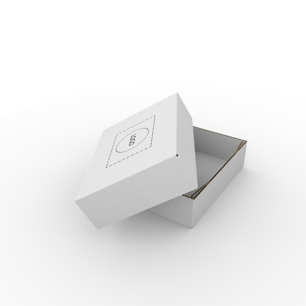 Adjustable Cardboard Boxes: 100 for 234,17 € | BIZAY